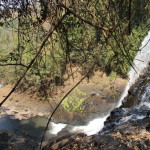 Mondulkiri - Kambodschas wilder Osten | Travelsharks